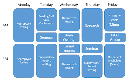 Curriculum / Rotations | School of Medicine | West Virginia University