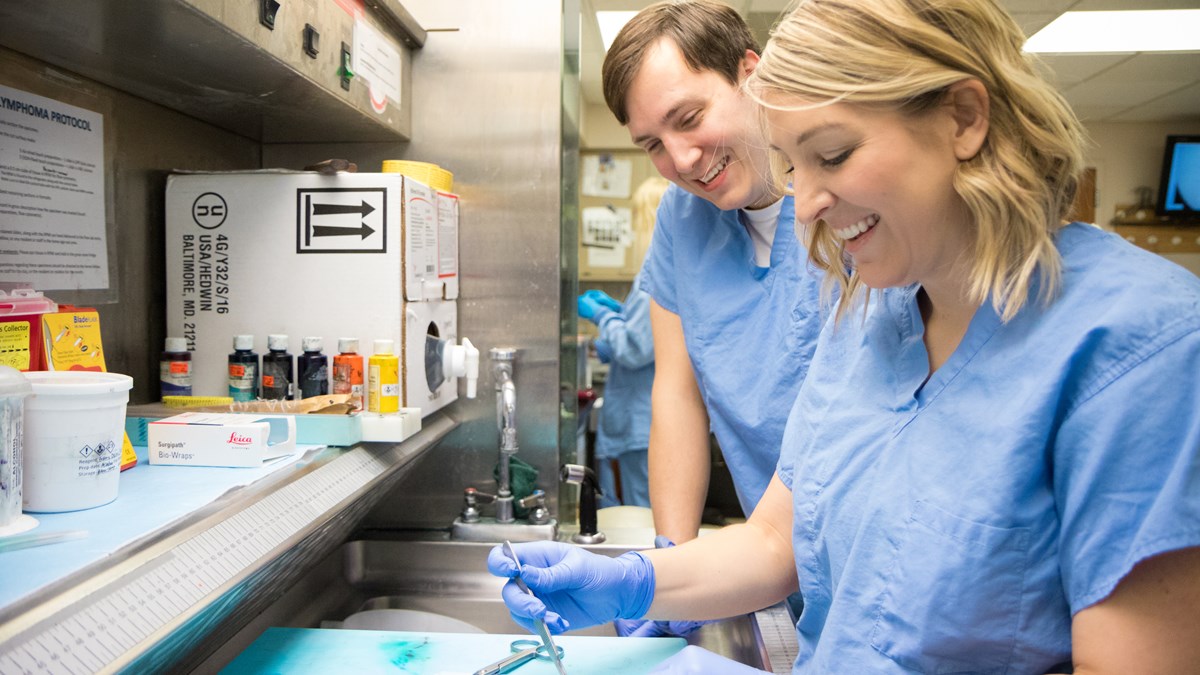 Pathologists' Assistant Program | School of Medicine | West Virginia ...