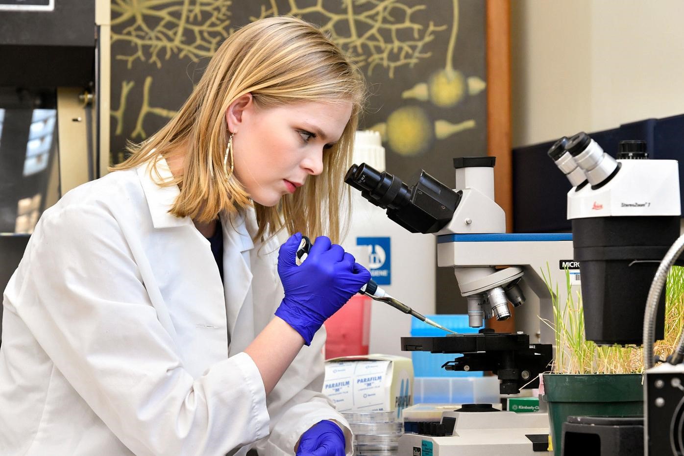 Bariatrics Postdoctoral Fellowship | School of Medicine | West Virginia ...